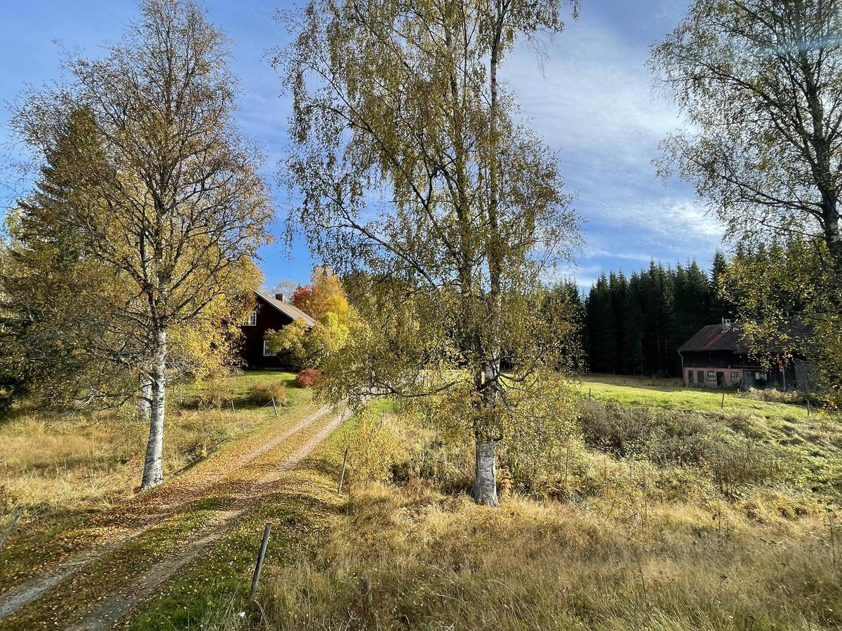 Gård till salu på Salungen Där Öste 1, Mangskog, Arvika - Booli.se